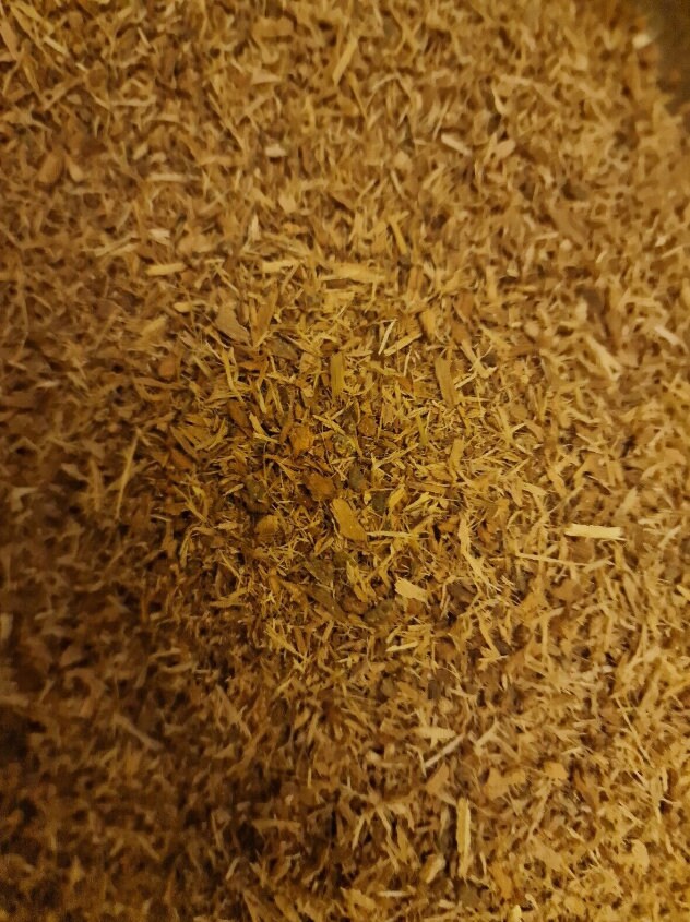 Oak bark tea (Quercus robur)