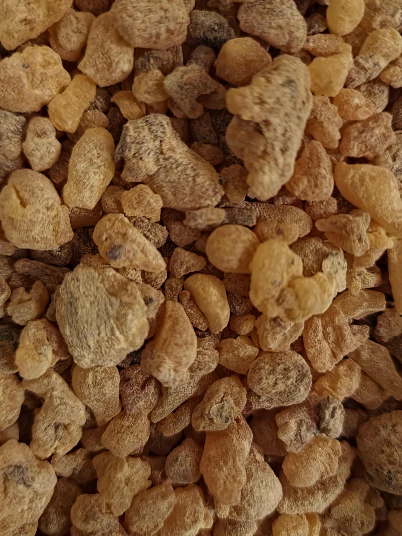 Organic Frankincense resin (Boswellia carterii)
