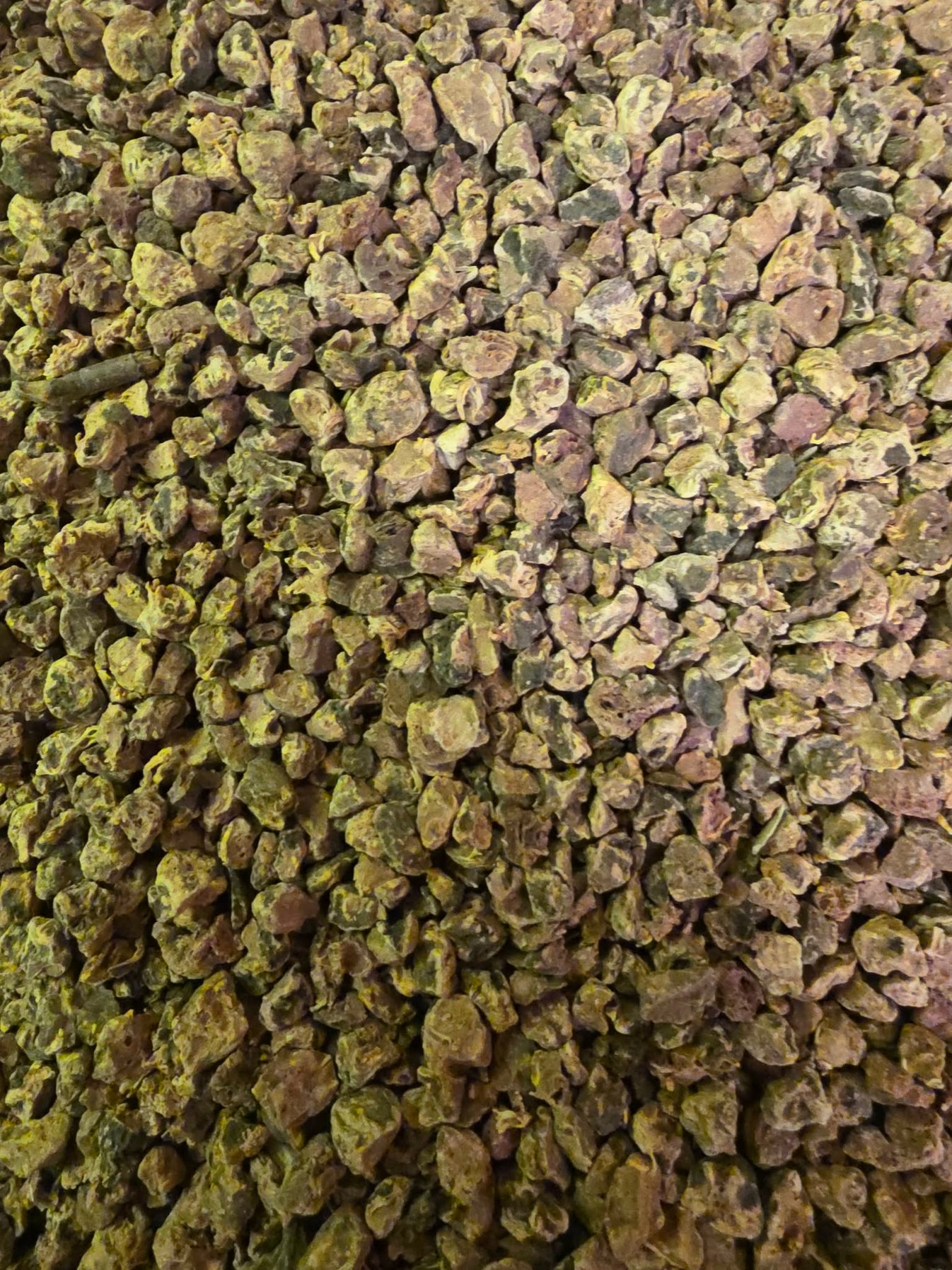 Organic Tormentil root (Potentilla erecta)
