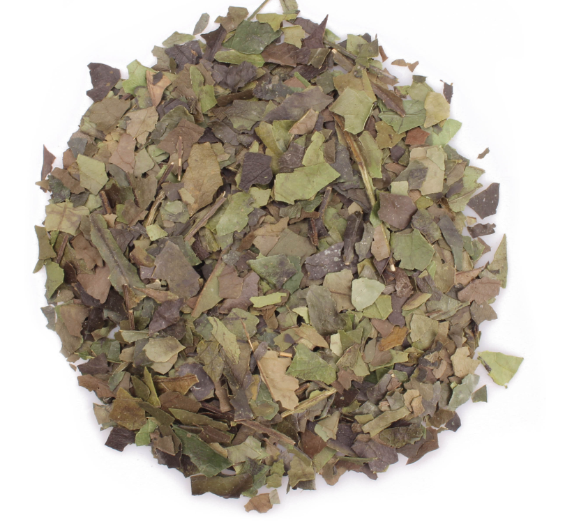 Amazonian Guayusa leaf tea (Ilex guayusa Loes.) 10g-250g – Botanical ...